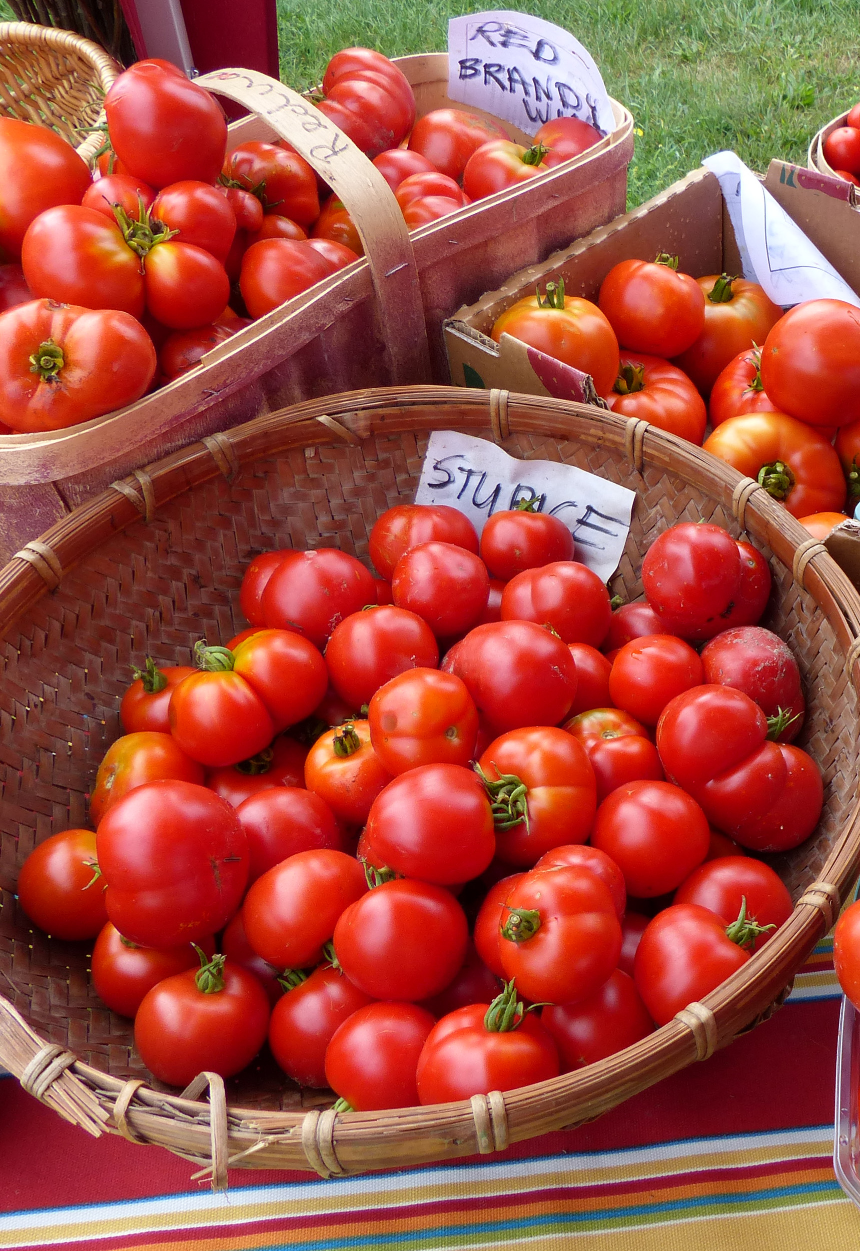 Tomatoes J Allen – Parry Sound & Area Food Collaborative